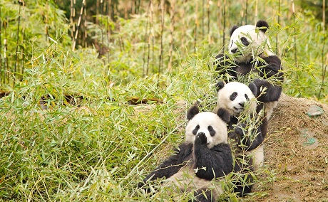 25 Manfaat Penginderaan Jauh yang Akan Membuat Kita Tercengang - Lapak GIS