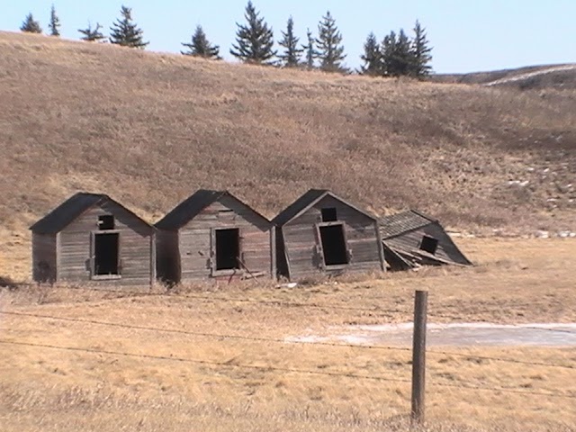 The view from here: Sharples, Alberta revisited