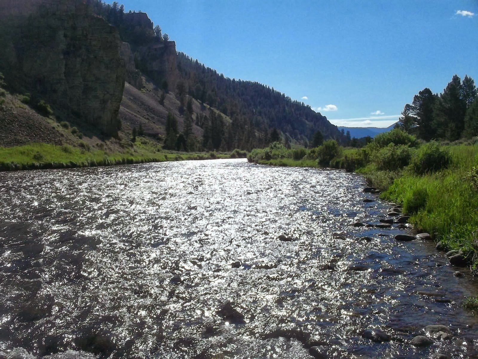 Dispatches from the Wild World: Flyfishing the Gallatin River