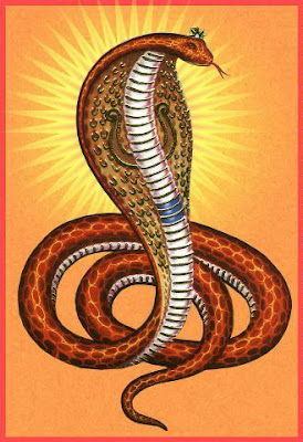 HD Best wallpaper: GOGA maharaj HD Wallpaper Photos