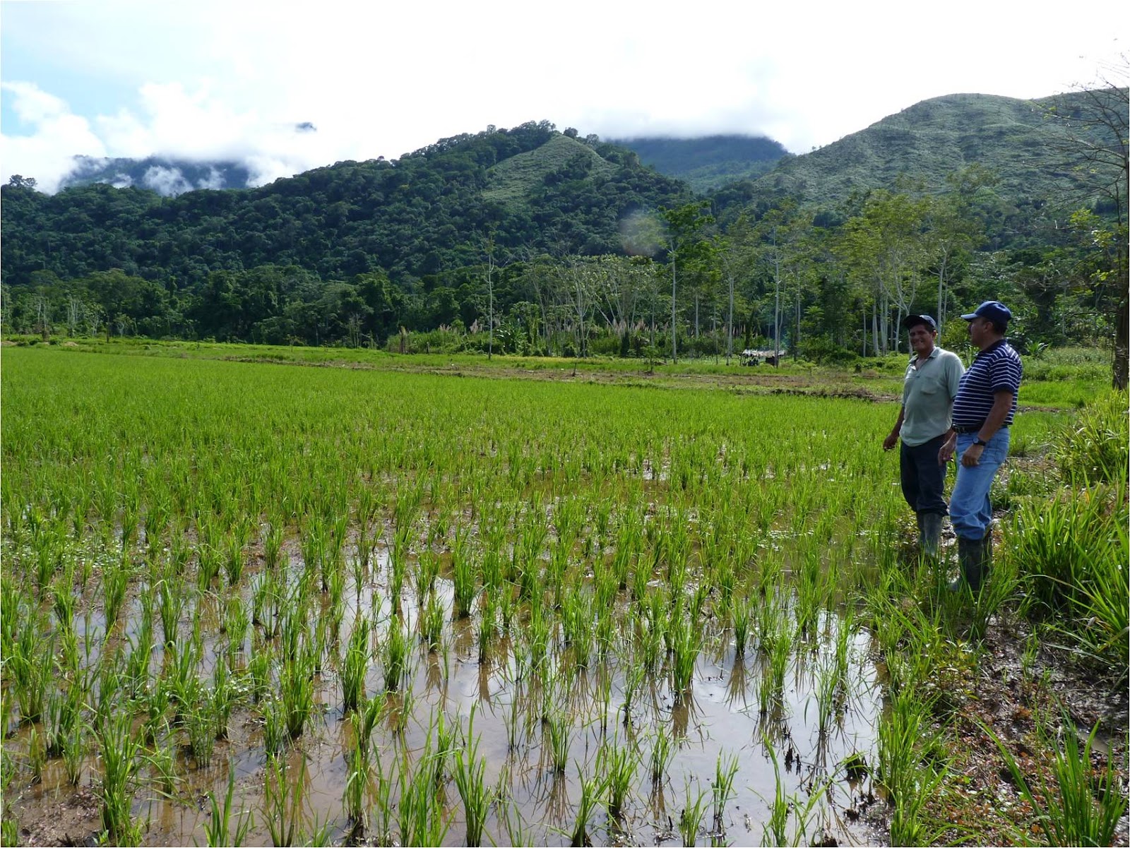 Nuestro Ejército en video: Trabajando juntos por el desarrollo del Vrae