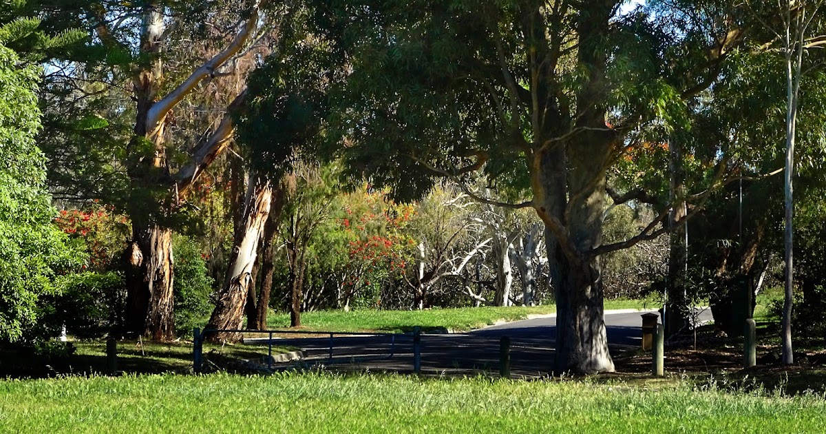 MAP: SUBURBAN CUL-DE-SAC