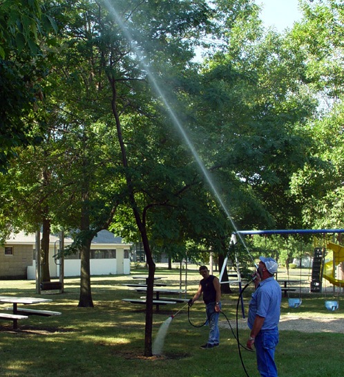 Tree Hugger, Tree Lover: Environmentally Safe and Effective Tree ...