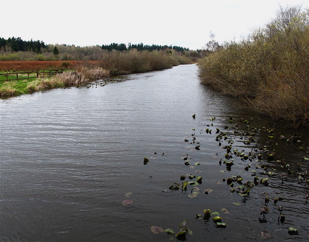 Urban Landscape, Native Landscape: Mercer Slough Nature Park