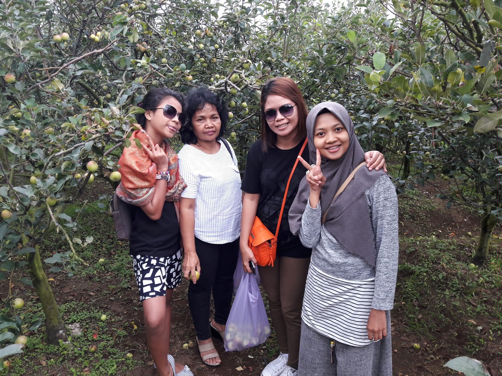 Mendadak Panen di Wisata Petik Apel - Batu, Malang! - Meykke Santoso