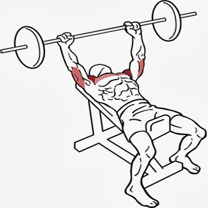 Barbell Incline Shoulder Raise | PUMPYING BODY