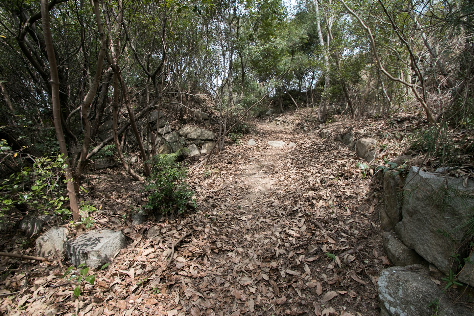Shimotsui Castle -Castle looking down straight and bridge- | Japan ...