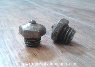 Show Ring Ready: Studs 101