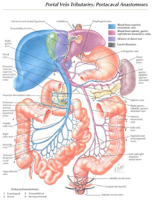 Shunt o Anastomosis: julio 2015