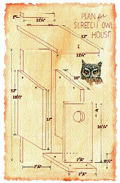 Bird house kits, Owl nest box, Bird houses diy
