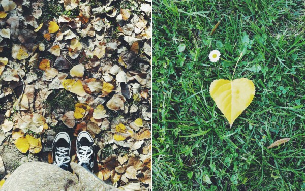 mundo flo: Autumn walks