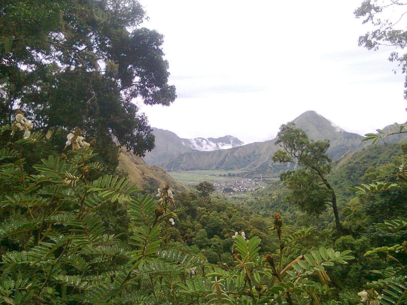 PUSUK | SEMBALUN IS MY VILLAGE