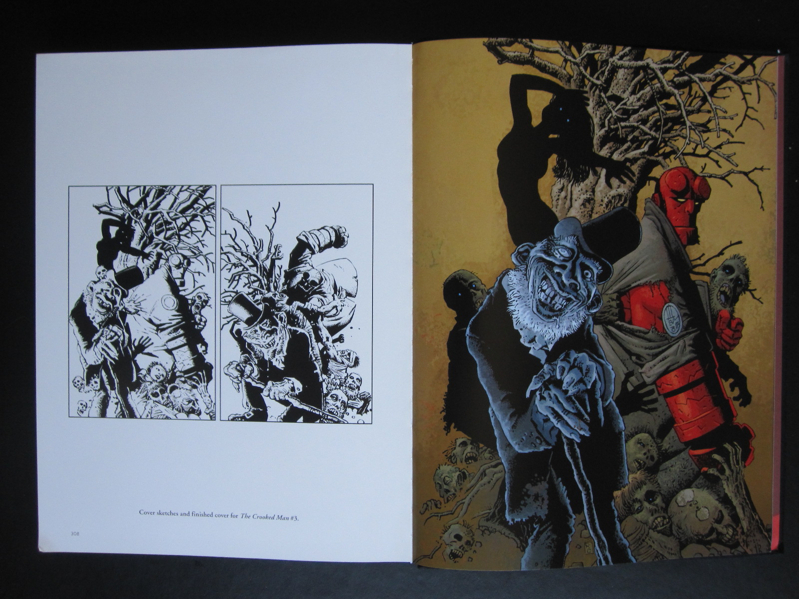 my absolute collection: Hellboy Library Edition Volume 4