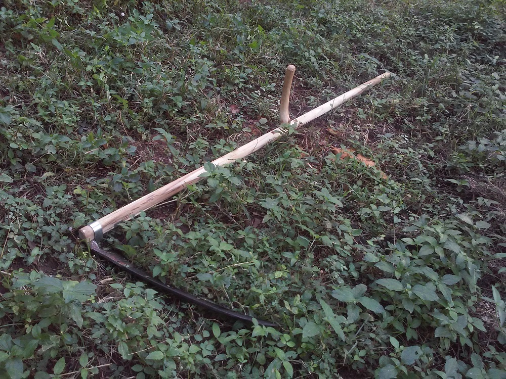 My Experiments With Farming: Scythe - An effective tool for cutting grass