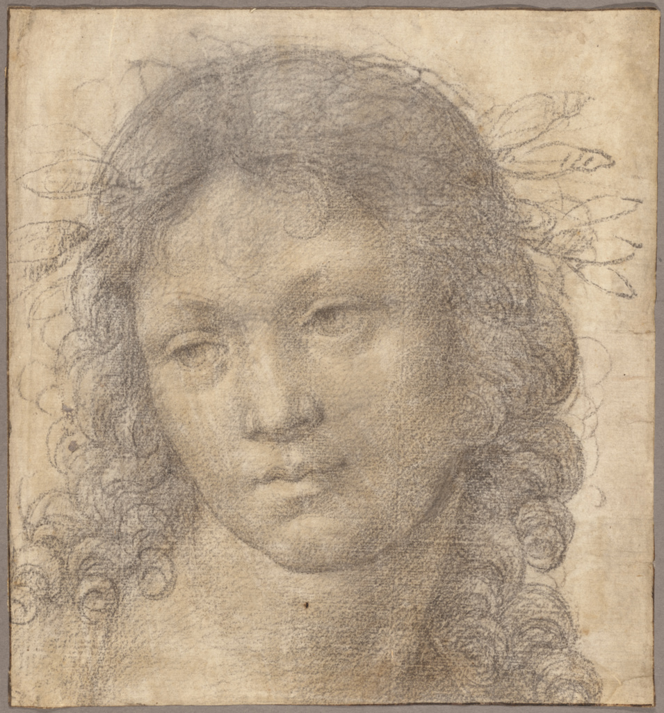 Lorenzo di Credi (1458-1537) | Tutt'Art@ | Masterpieces