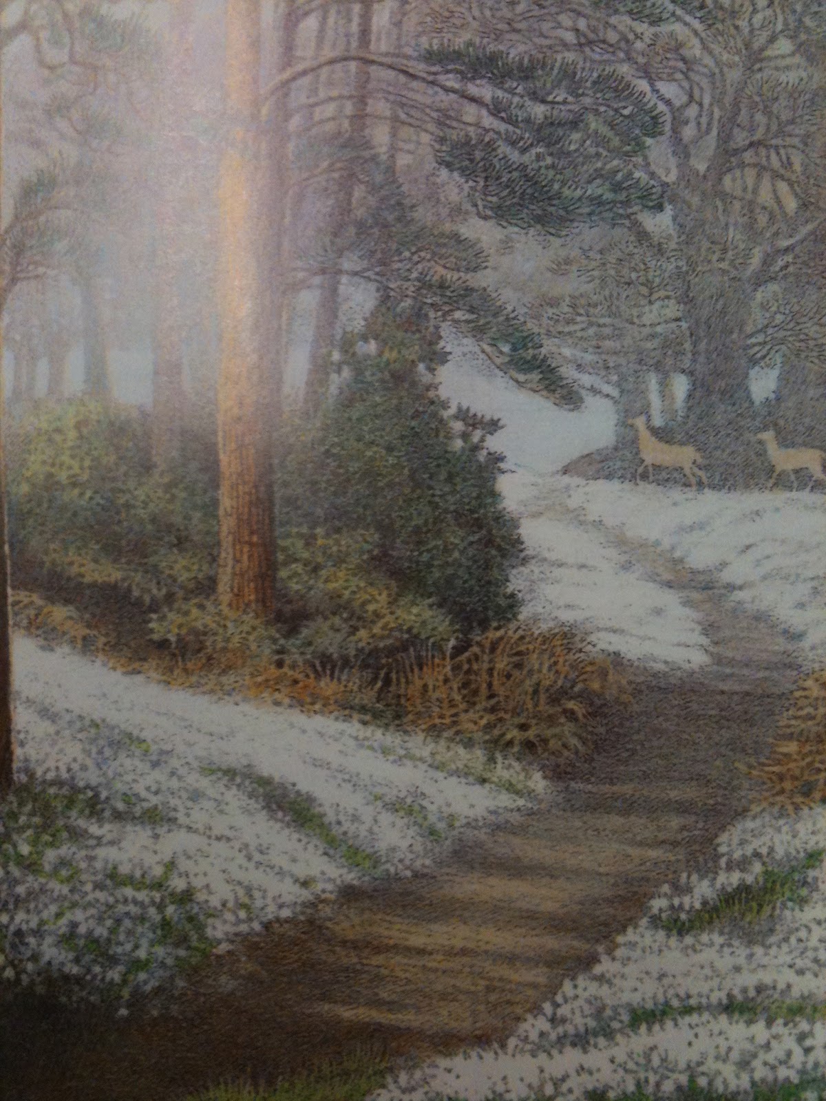 surface fragments: Children's Illustration Artist Profile: Inga Moore