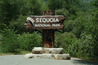 Sequoia Ecosystem Assessment