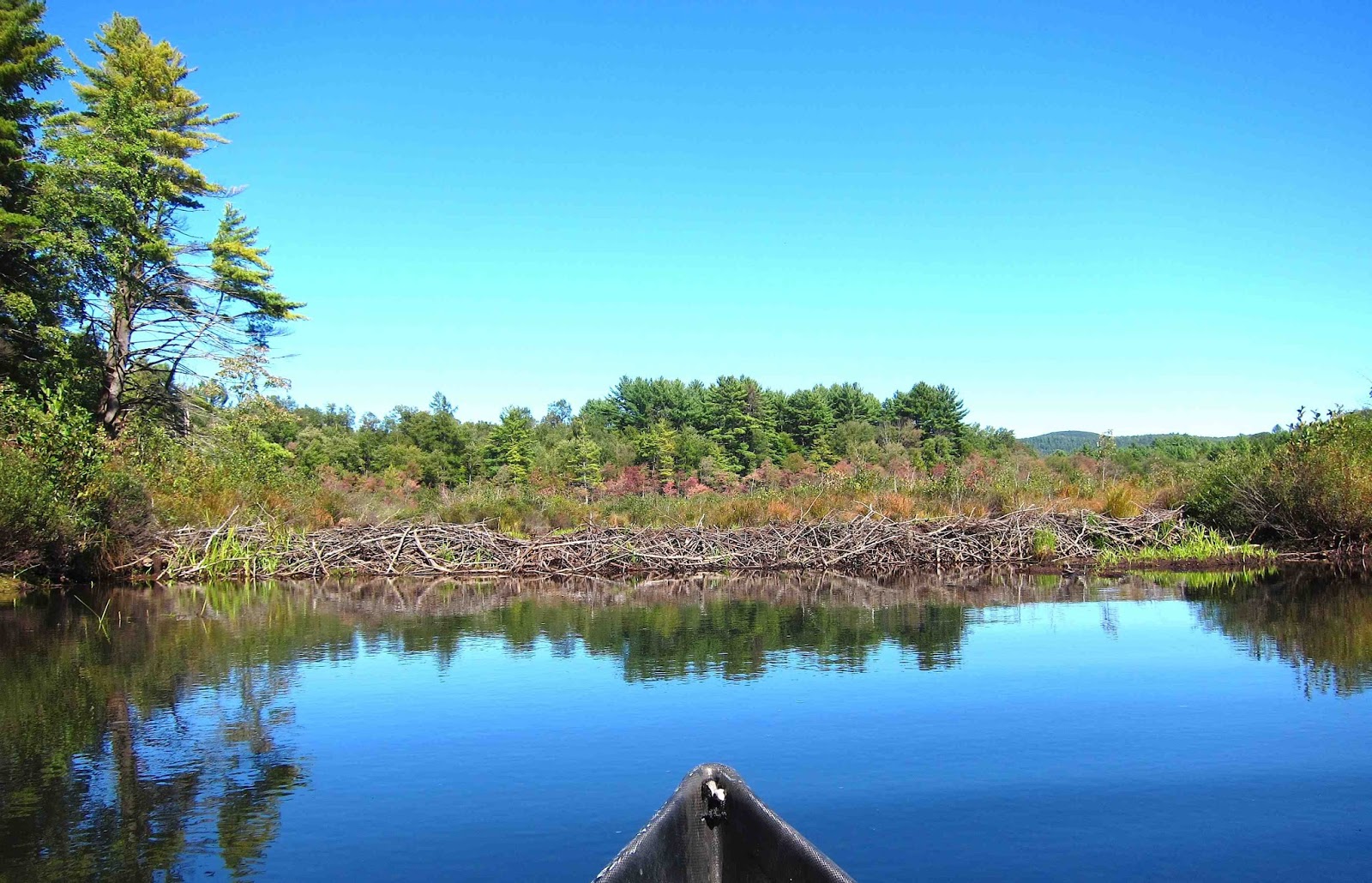 Saratoga woods and waterways: A Perfect Day, a Pretty Lake, and a Poem ...