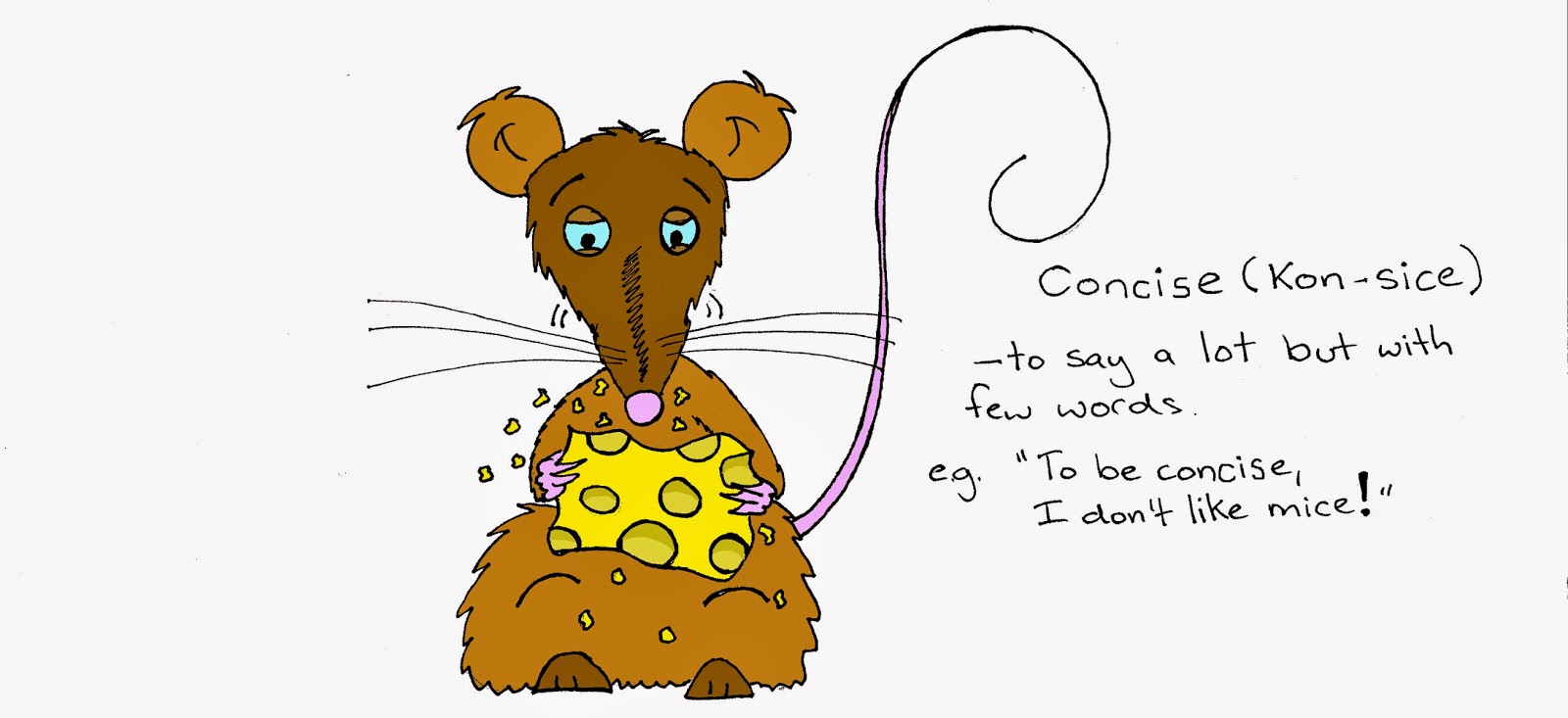 What is the Meaning of Concision?