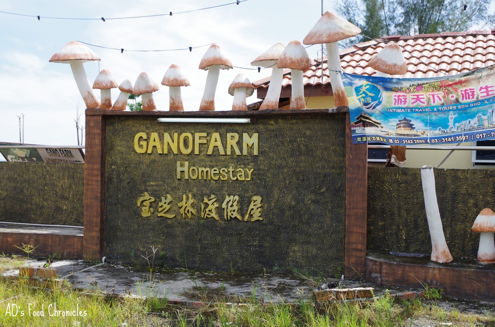 Tanjung Sepat - Day 1