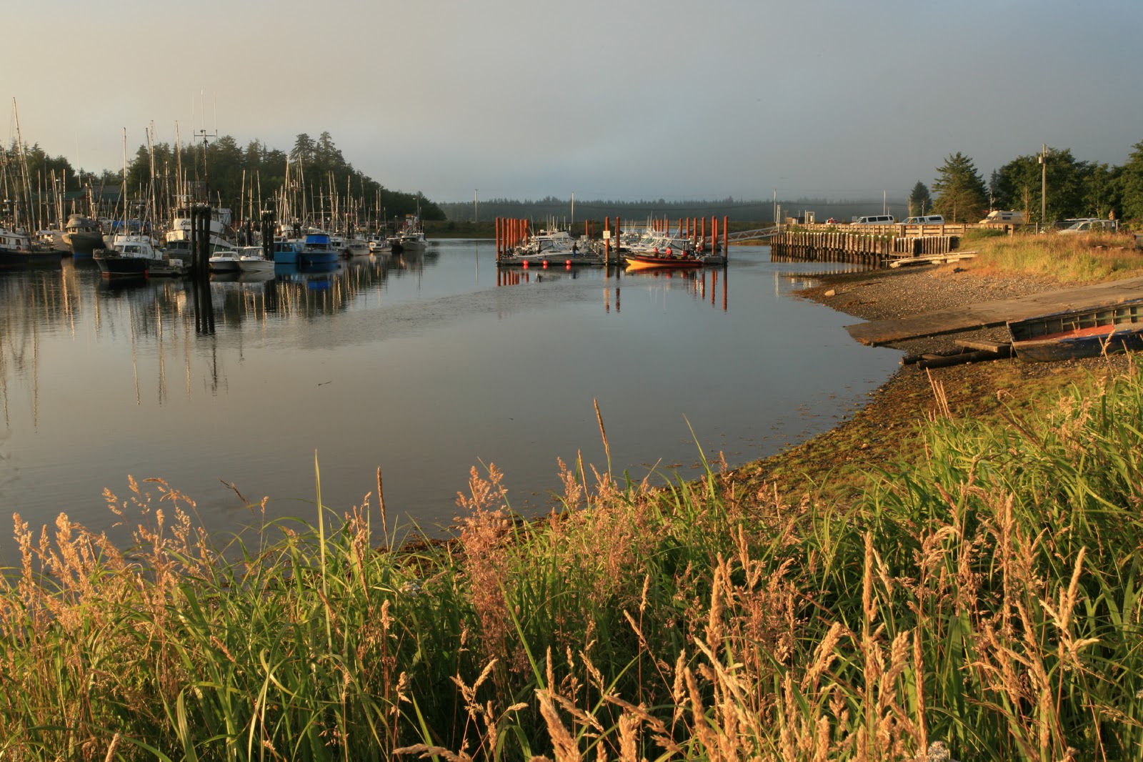 Masset Inlet