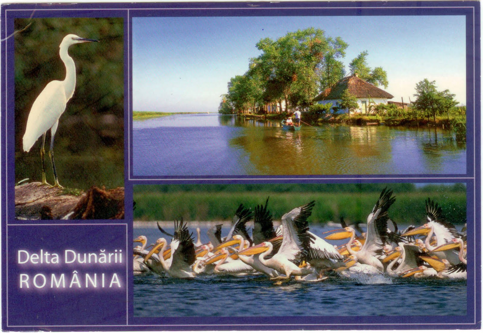 My postcard collection: Romania - Danube Delta