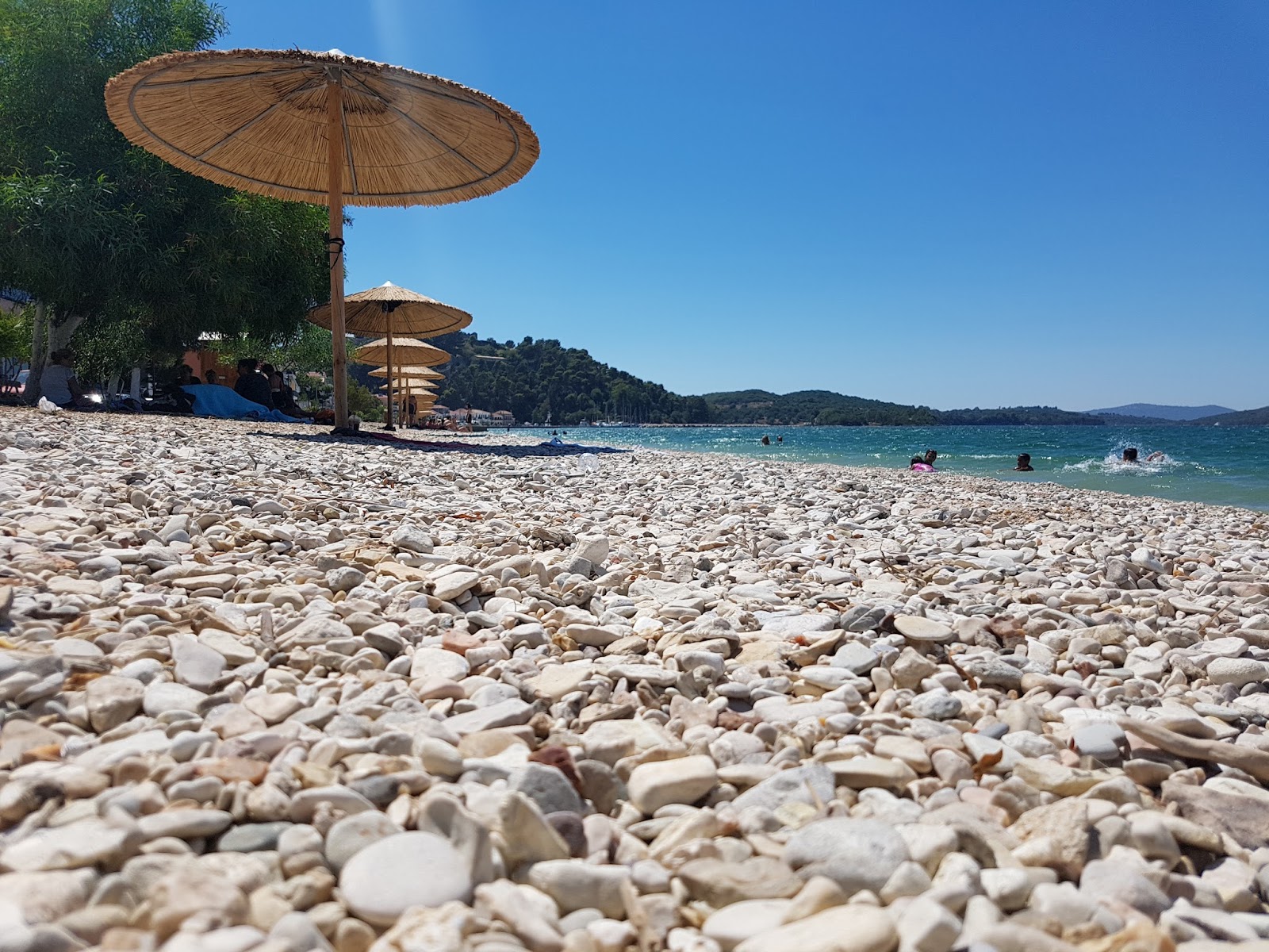 Κατούνα Νέα Ειδήσεις