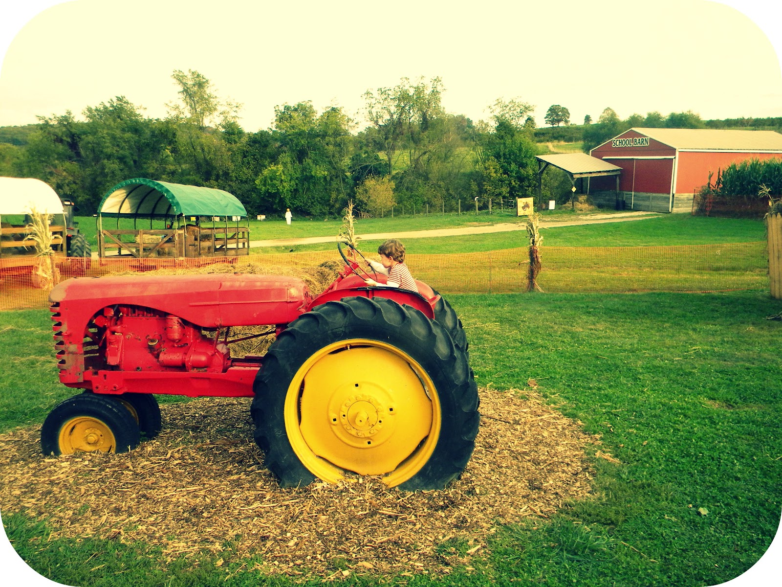 Pgh Momtourage: In Review: Triple B Farms