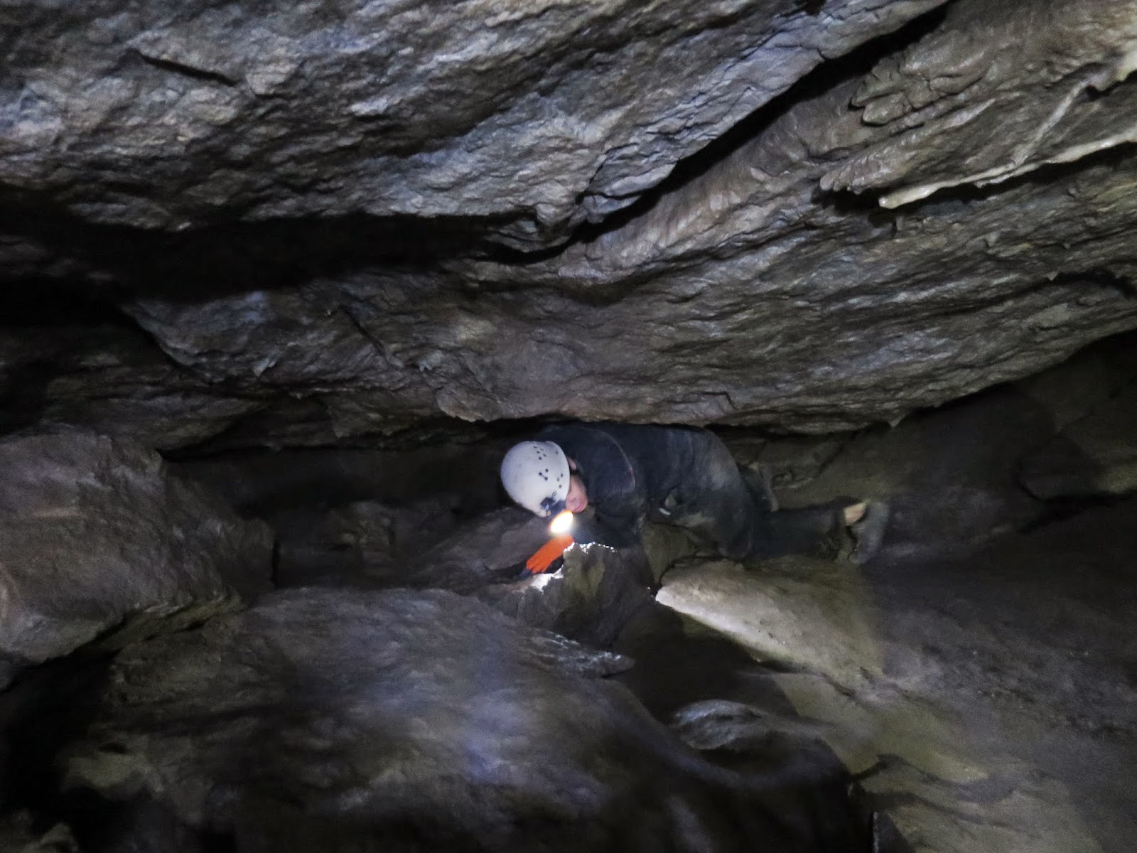 cramptonclan2: Rat's Nest Cave