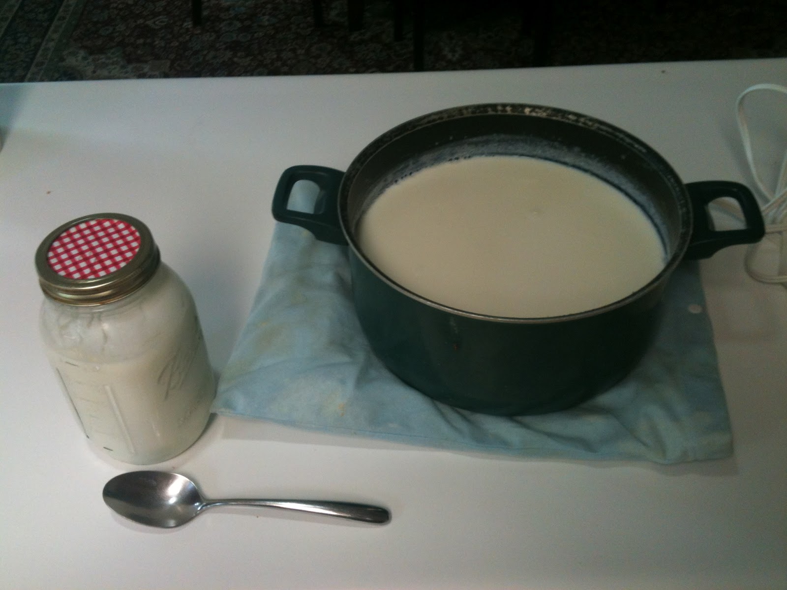 Simply Made By Mama.....Back to Basics: Yogurt, Greek Yogurt, and ...