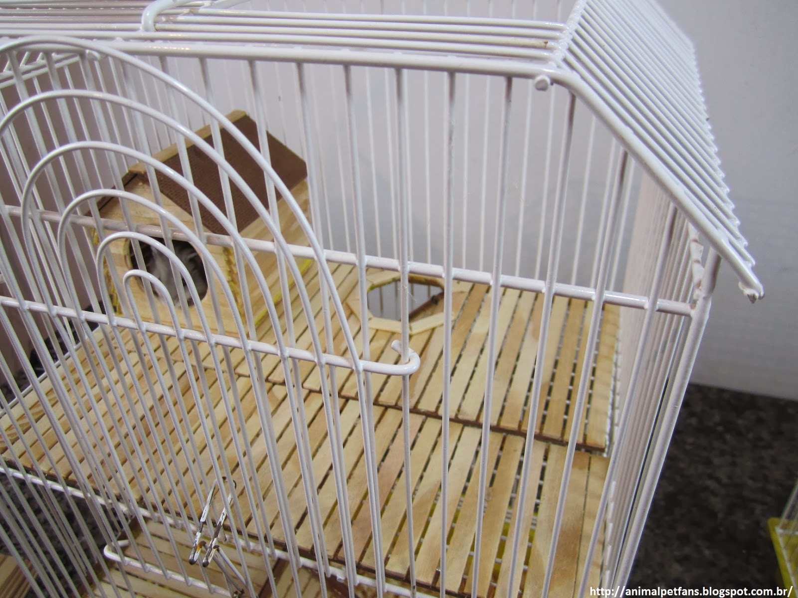 AnimalPetFans: Forrando a Gaiola dos Hamsters