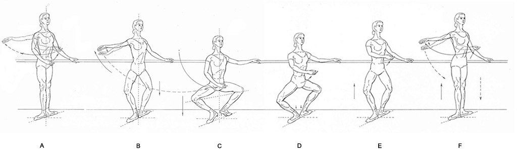 ABC Danzar: El plié