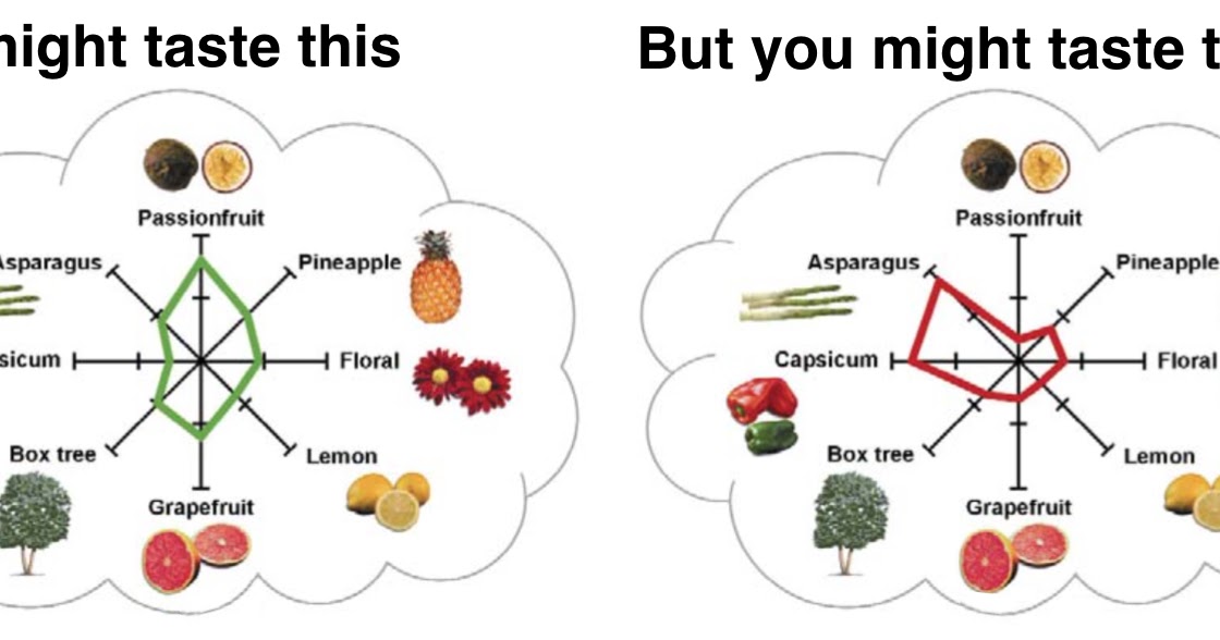 EnoViti: The Organoleptic Qualities of a Wine