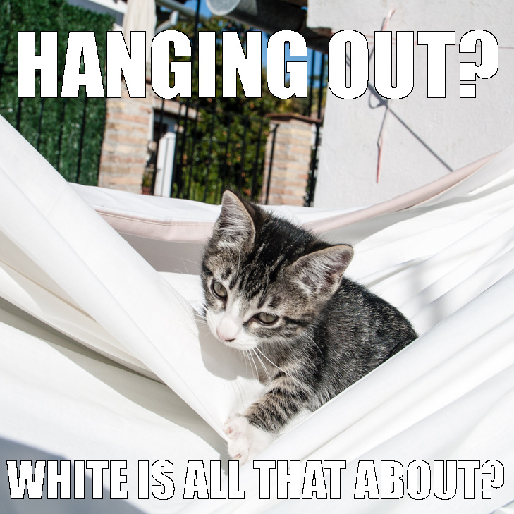 For funny cats lovers