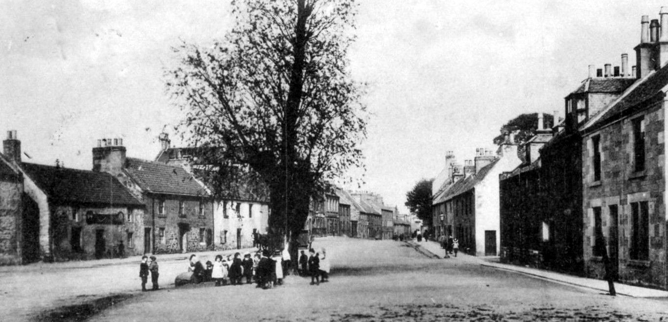 Tour Scotland: Old Photograph Katie Wearie's Tree Linlithgow Scotland