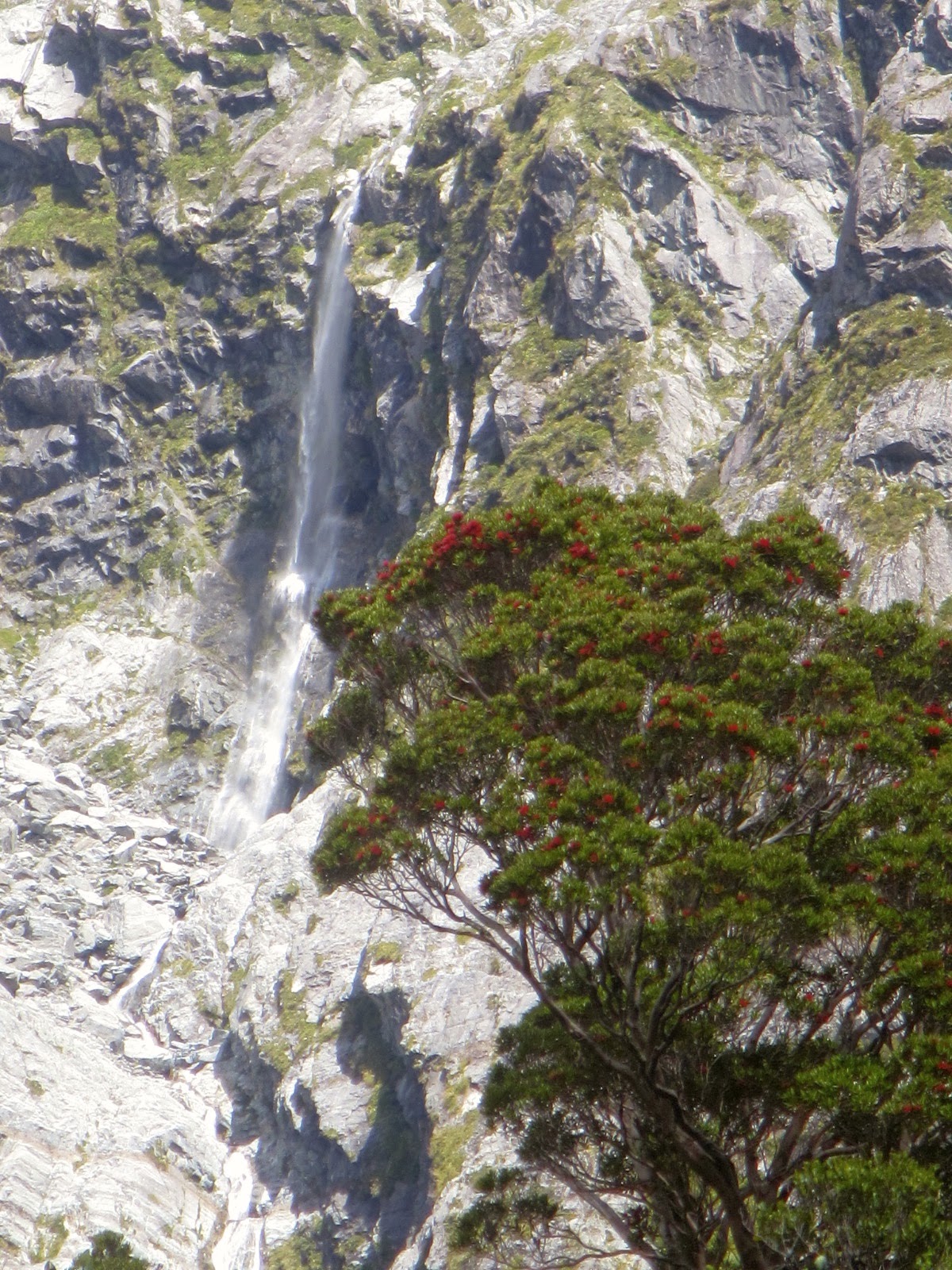 WanderLust Kaitlyn Jayne: Welcome to Welcome Flat Hut