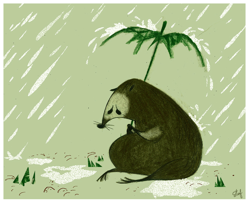 Sad little mole! | stef choi