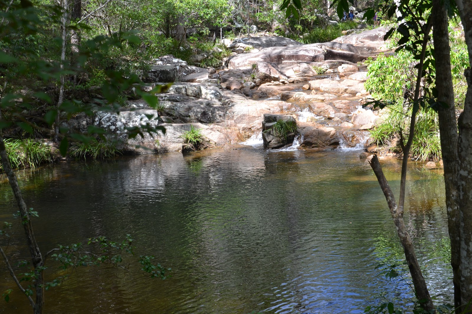 Life & Times: Mothar Mountain Rock Pools at Woondum National Park