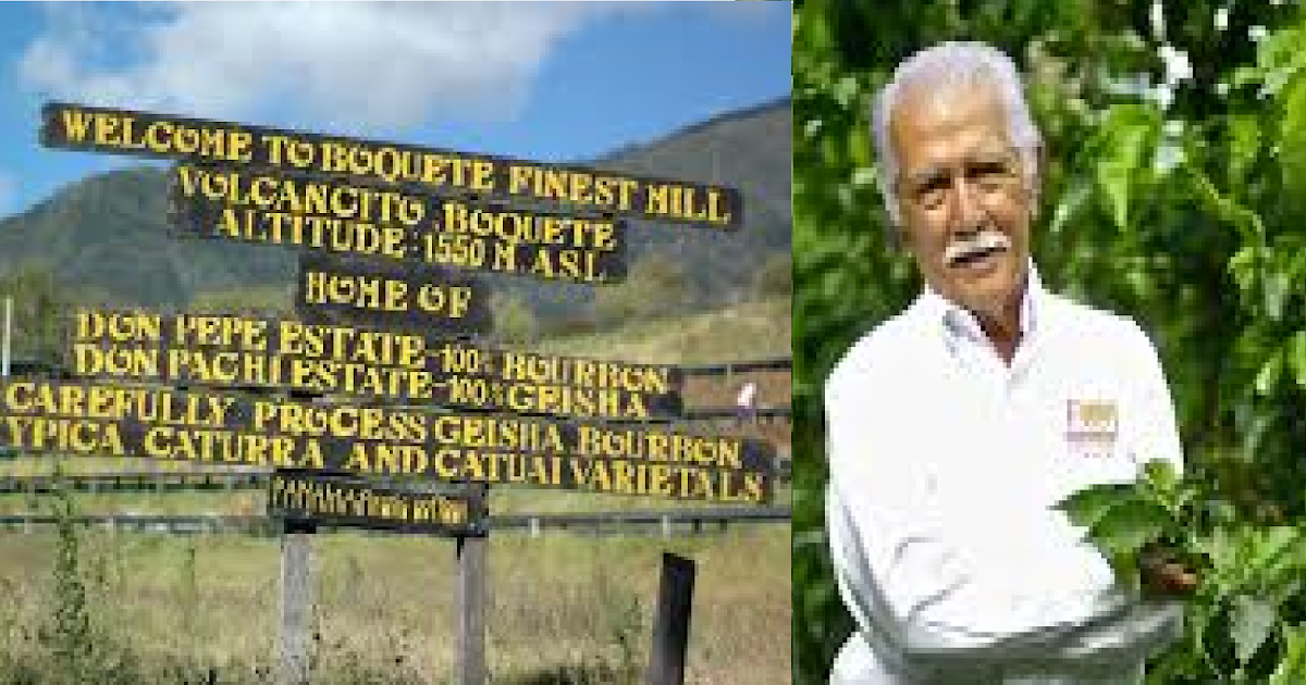 理範嗜啡講堂: 巴拿馬藝伎之父- 唐帕奇(Don Pachi)