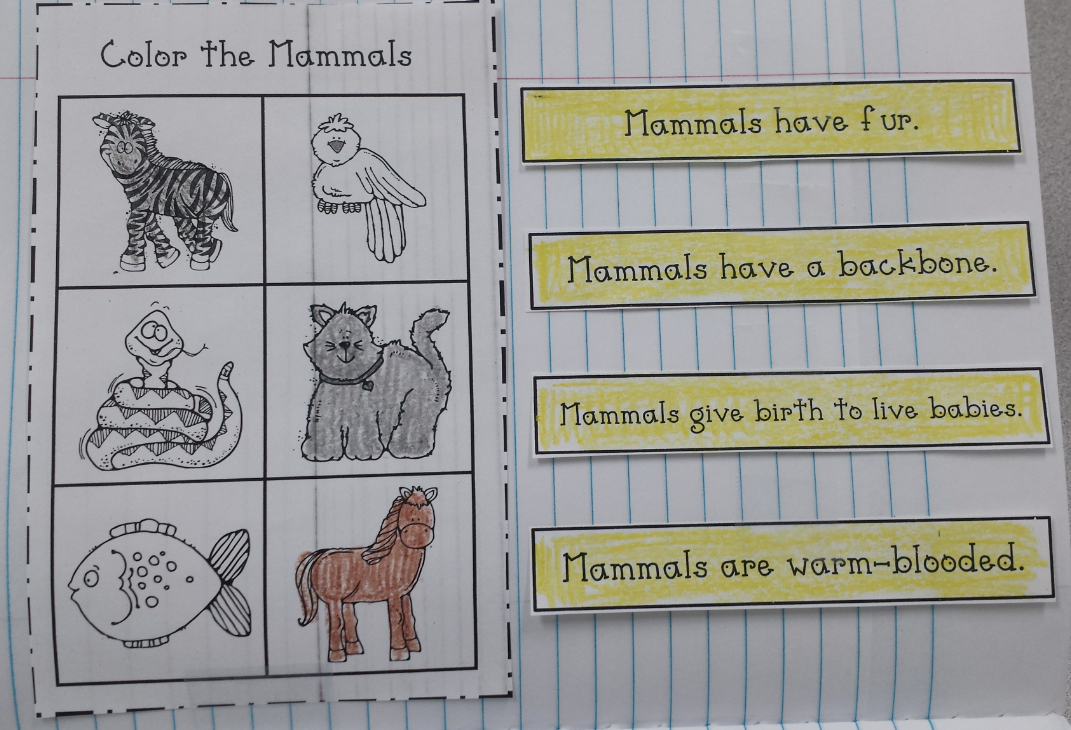 Little Learning Stars: All About Animal - Science and Informative ...