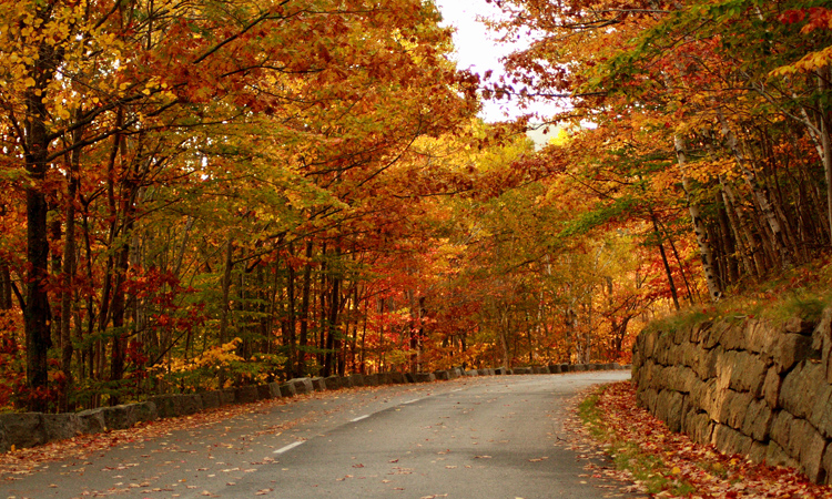 Maine Lobsters and Lodging: Leaf Peeping Activities in Mid-Coast Maine