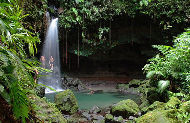 The Caribbean Eye: The Emerald Pool, Dominica