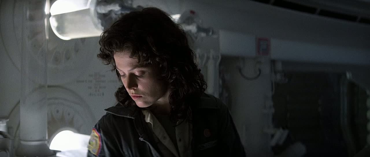 La Sonrisa del Mapatxe: Una Cierta Mirada / "Gravity Keeps My Head Down..."