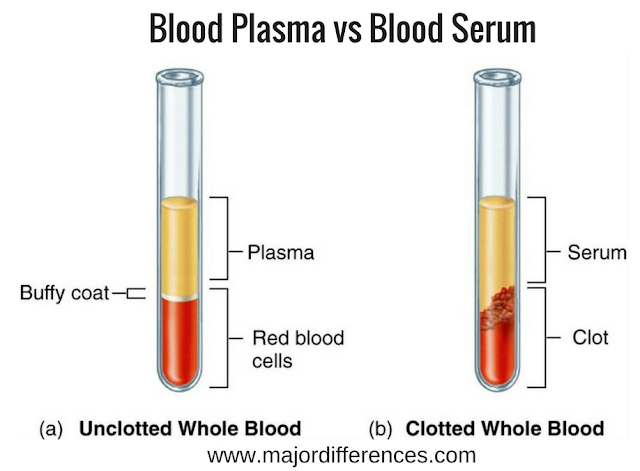 Difference between Blood serum and Blood plasma (Blood serum vs Blood ...