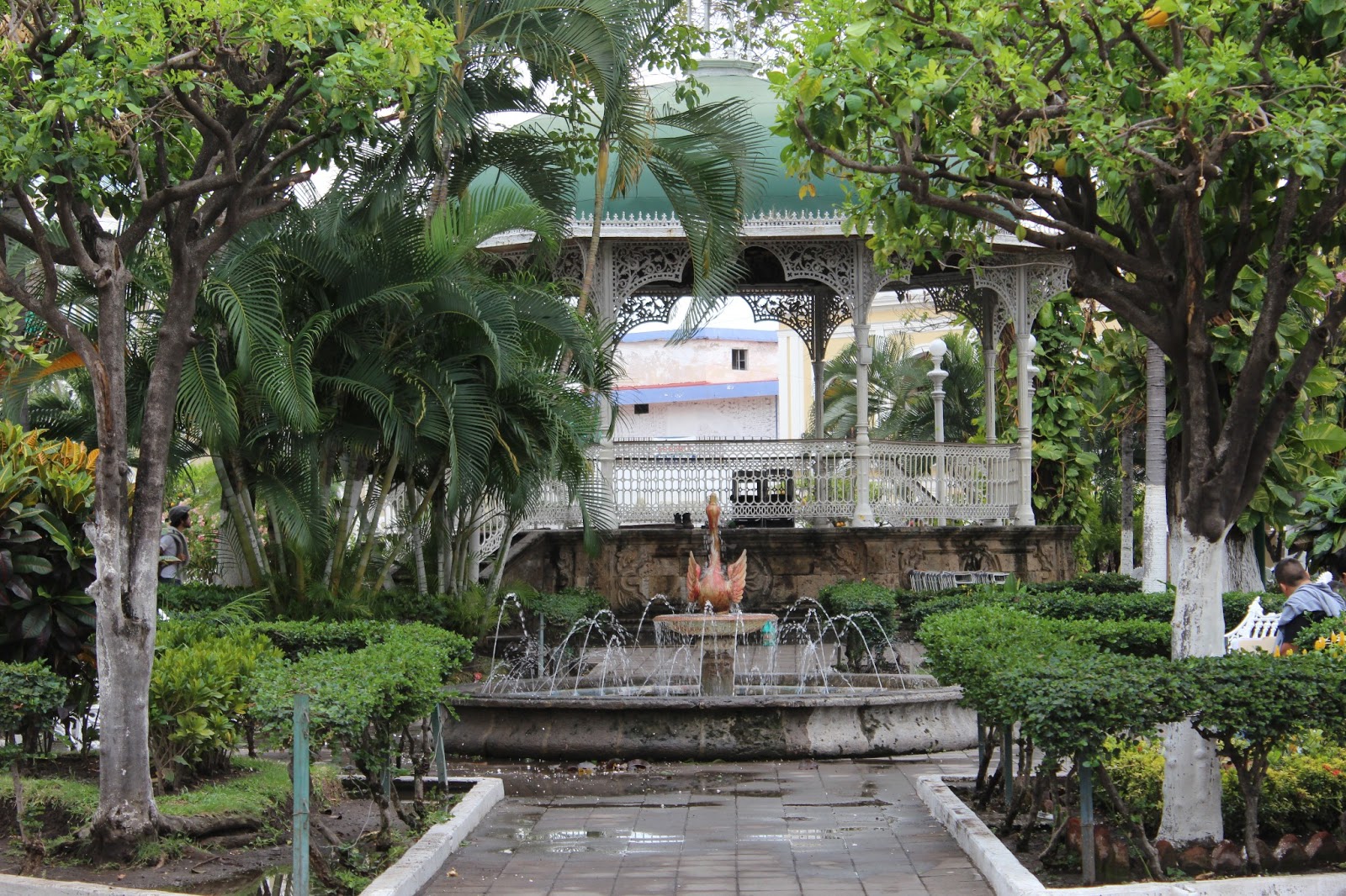 SALA DE LECTURA " ENSUEÑOS DE UN PERRO COLIMOTE"