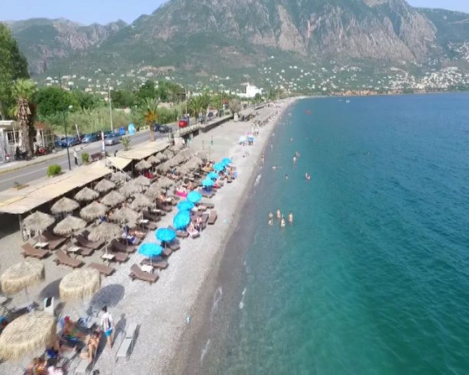 ΠΛΗΡΟΤΗΤΑ ΠΑΝΤΟΥ ΣΕ ΚΑΛΑΜΑΤΑ ΚΑΙ ΤΡΙΦΥΛΙΑ-ΟΙ ΥΠΟΔΟΜΕΣ ΟΜΩΣ ΚΡΙΝΟΥΝ ΤΟΝ ...
