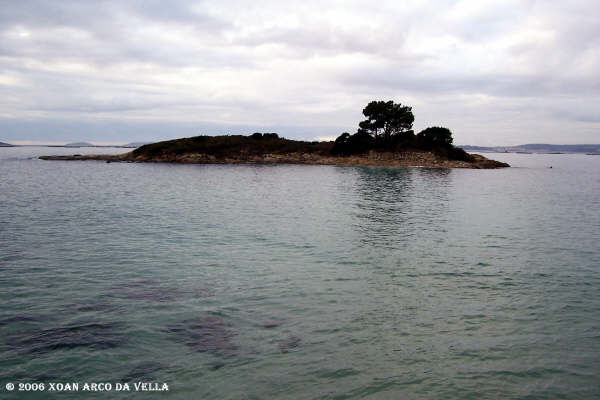 XOAN ARCO DA VELLA: ILLA DE SAN CLEMENTE - MARIN