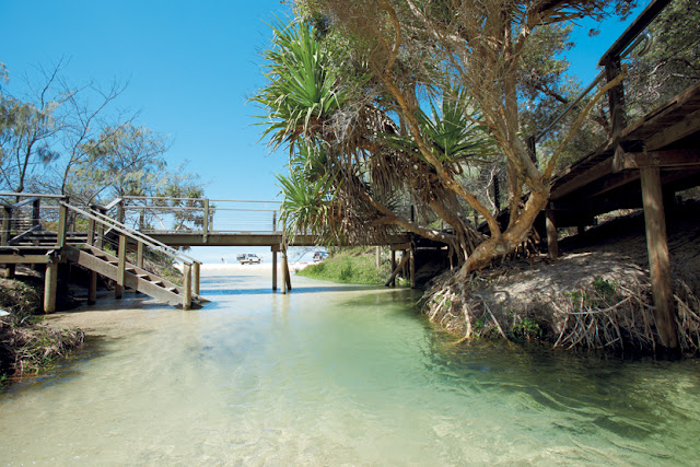 Infos-Australie: Fraser Island : l’île de sable paradisiaqueWorking ...