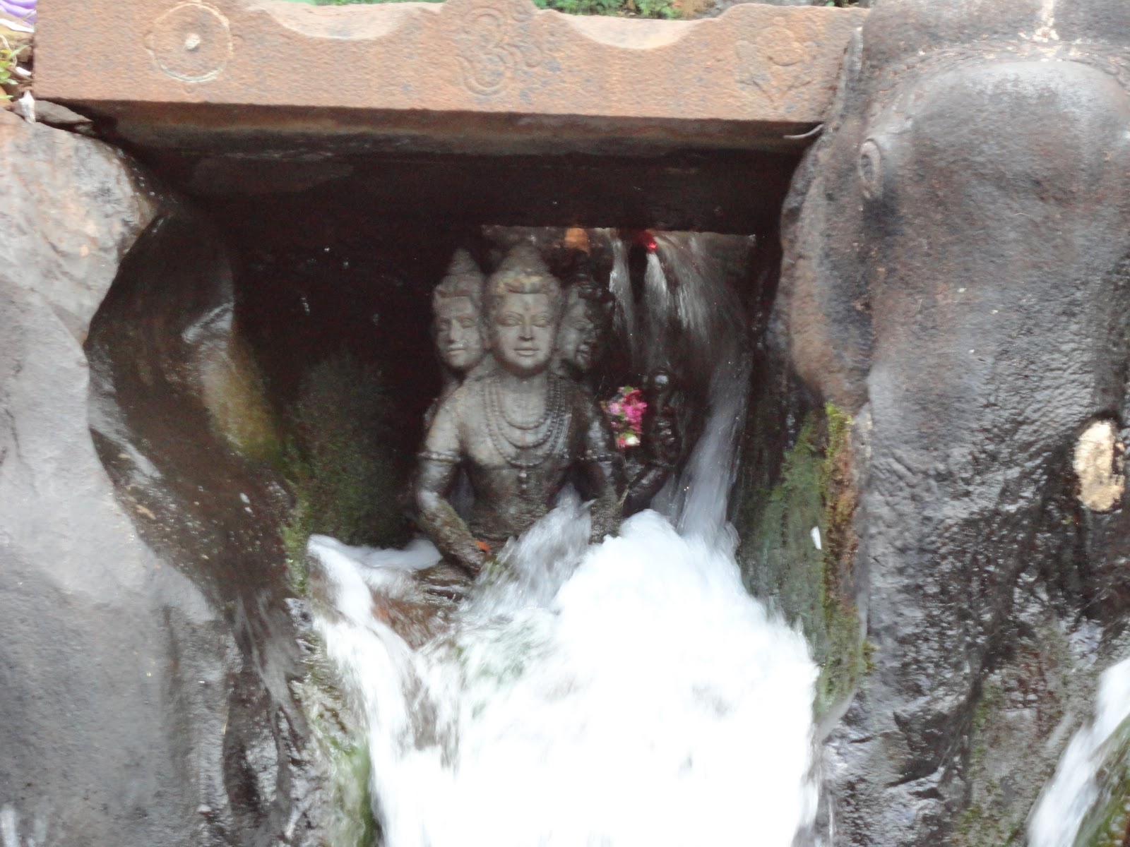 Thom's Blog: Kallathigiri Falls- Kemmangundi