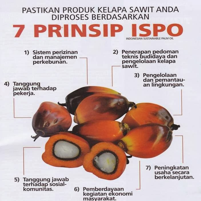 JENDELA INFO KITA: Prinsip ISPO (Indonesian Sustainable Palm Oil)